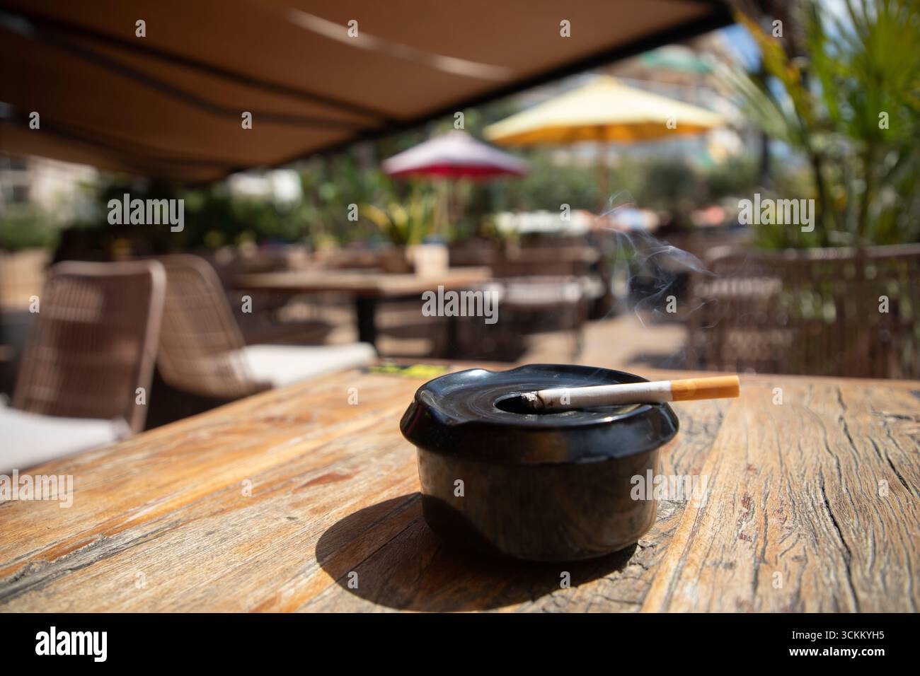 12 September 2025, Spain, Palma: A cigarette lies on an ashtray on a ...