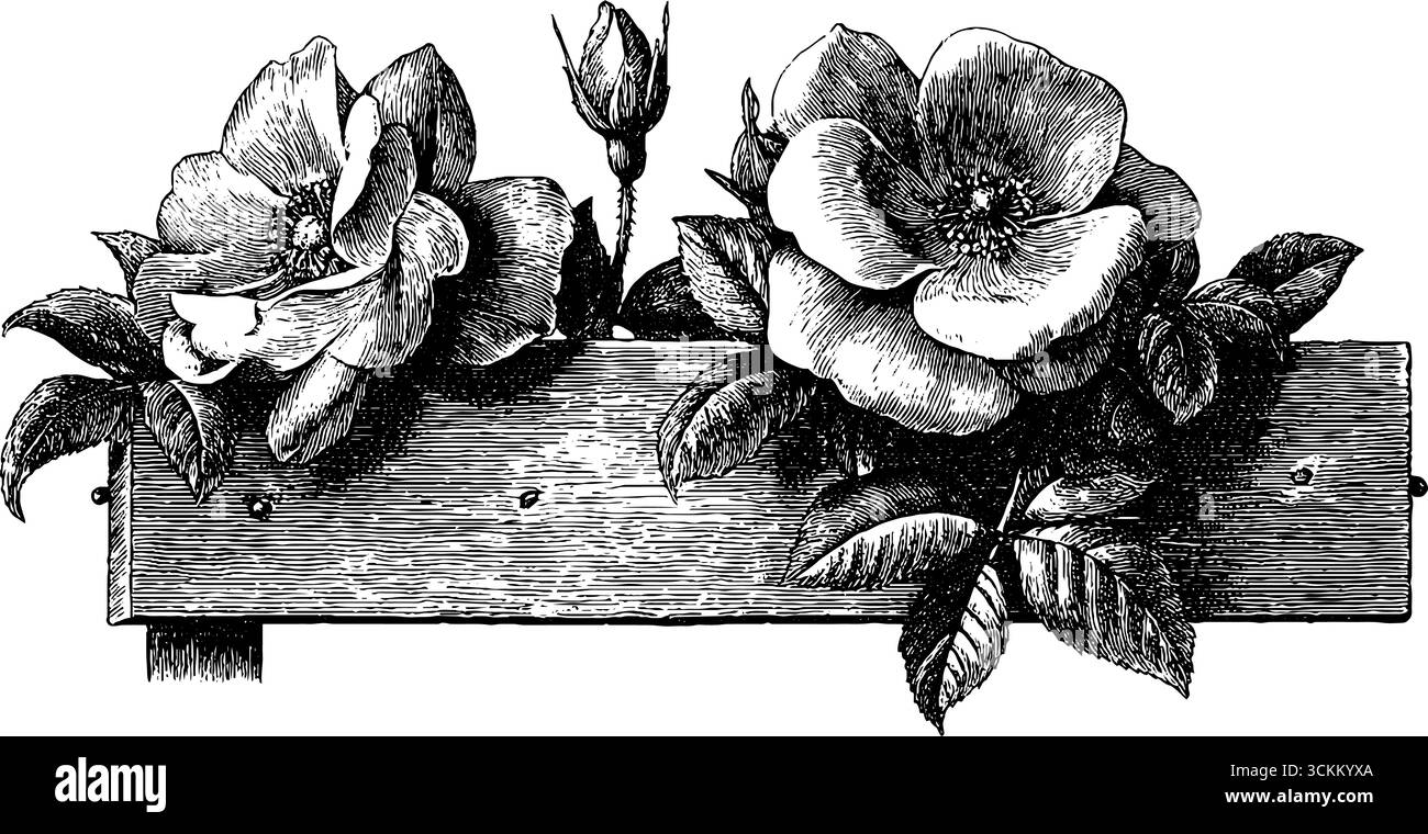 Ornament print panel Stock Vector Images - Alamy