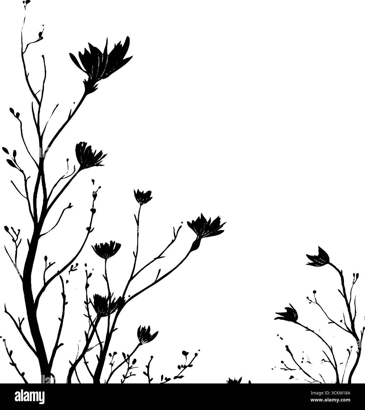 Arrangement of abstract floral elements Cut Out Stock Images & Pictures ...