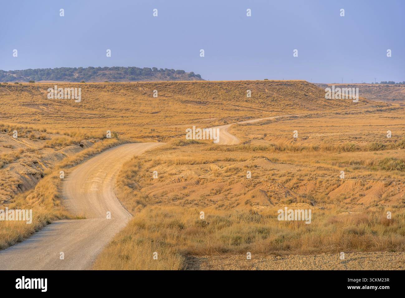 Winding Dirt Road Through Golden Desert Landscape In Bardenas Reales ...