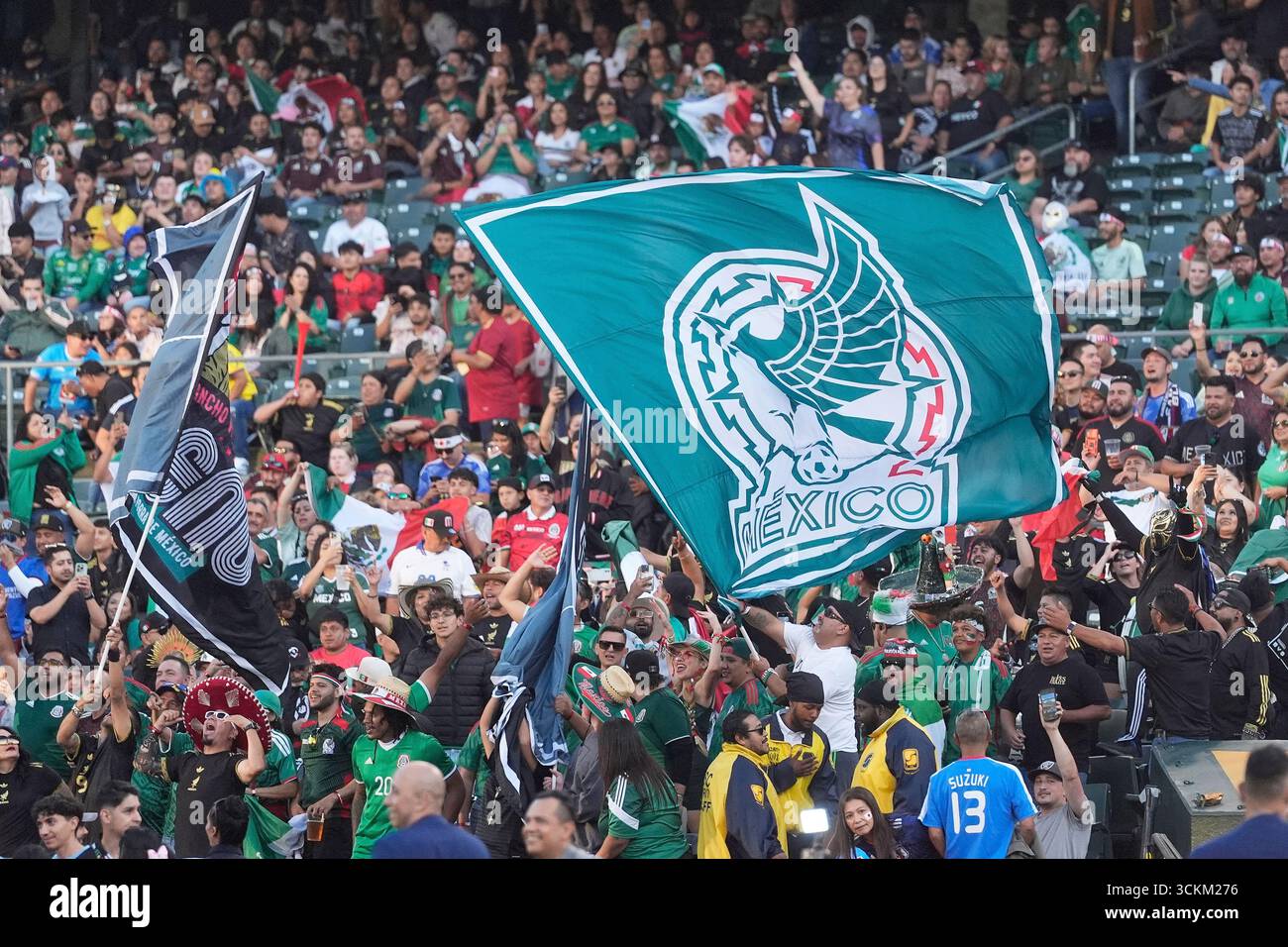 Mexico fans cheer before an international friendly soccer game between ...