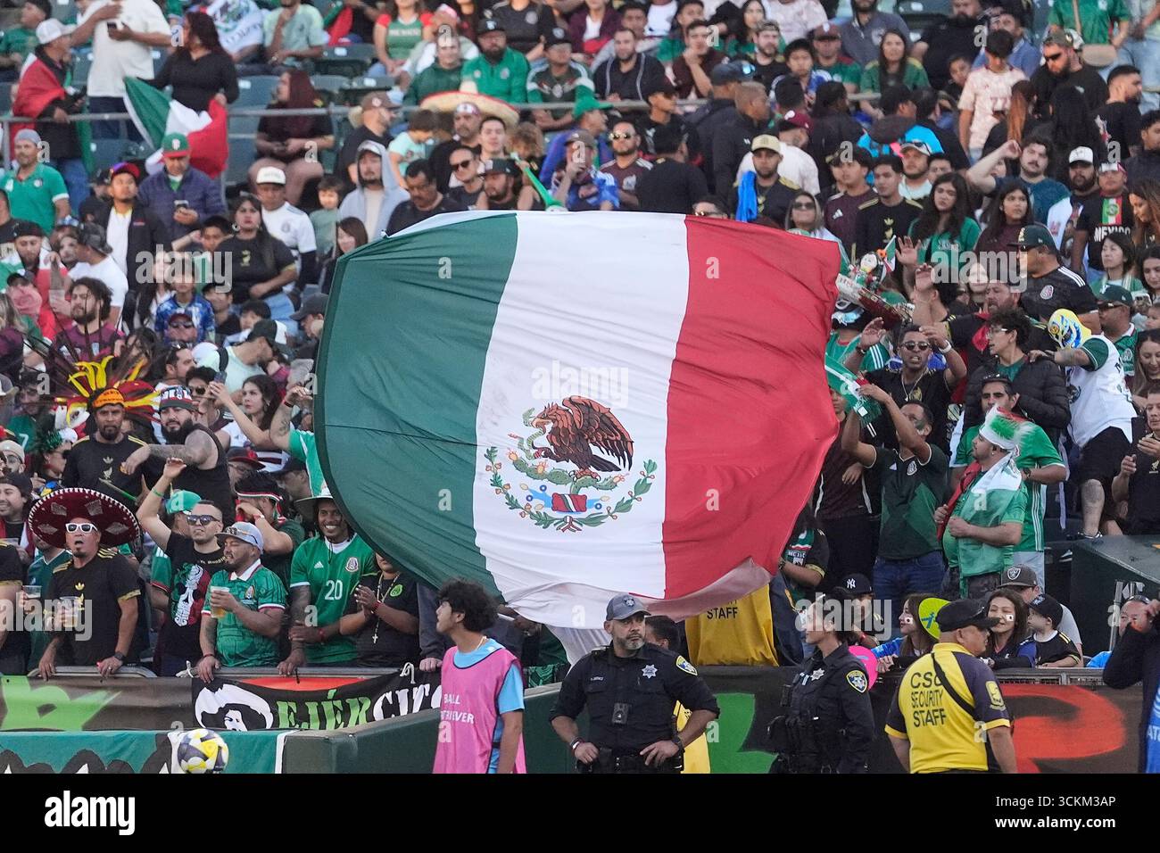 Mexico fans cheer before an international friendly soccer game between ...