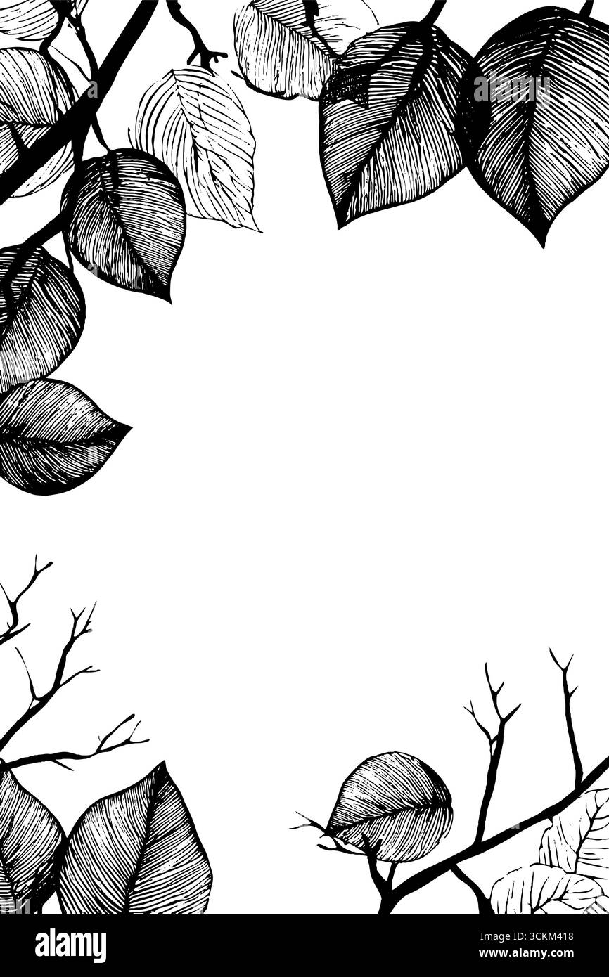 Leaf prints Black and White Stock Photos & Images - Alamy