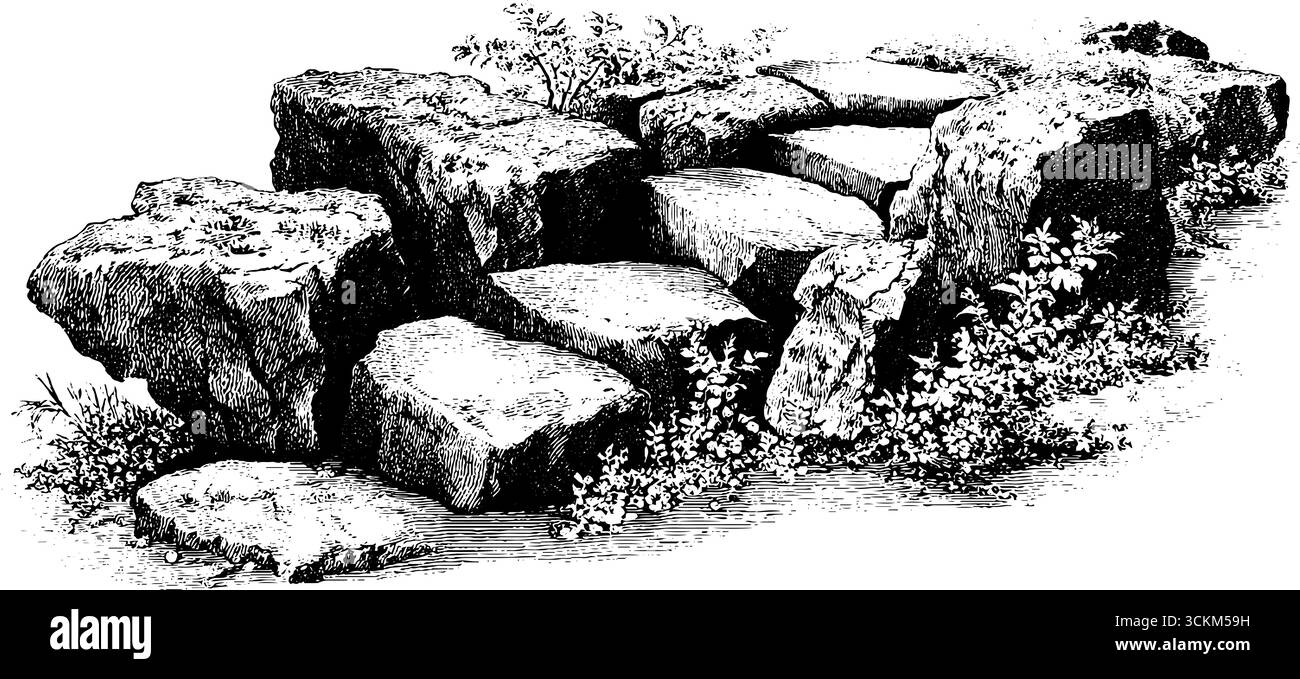 Texture stone path Stock Vector Images - Alamy