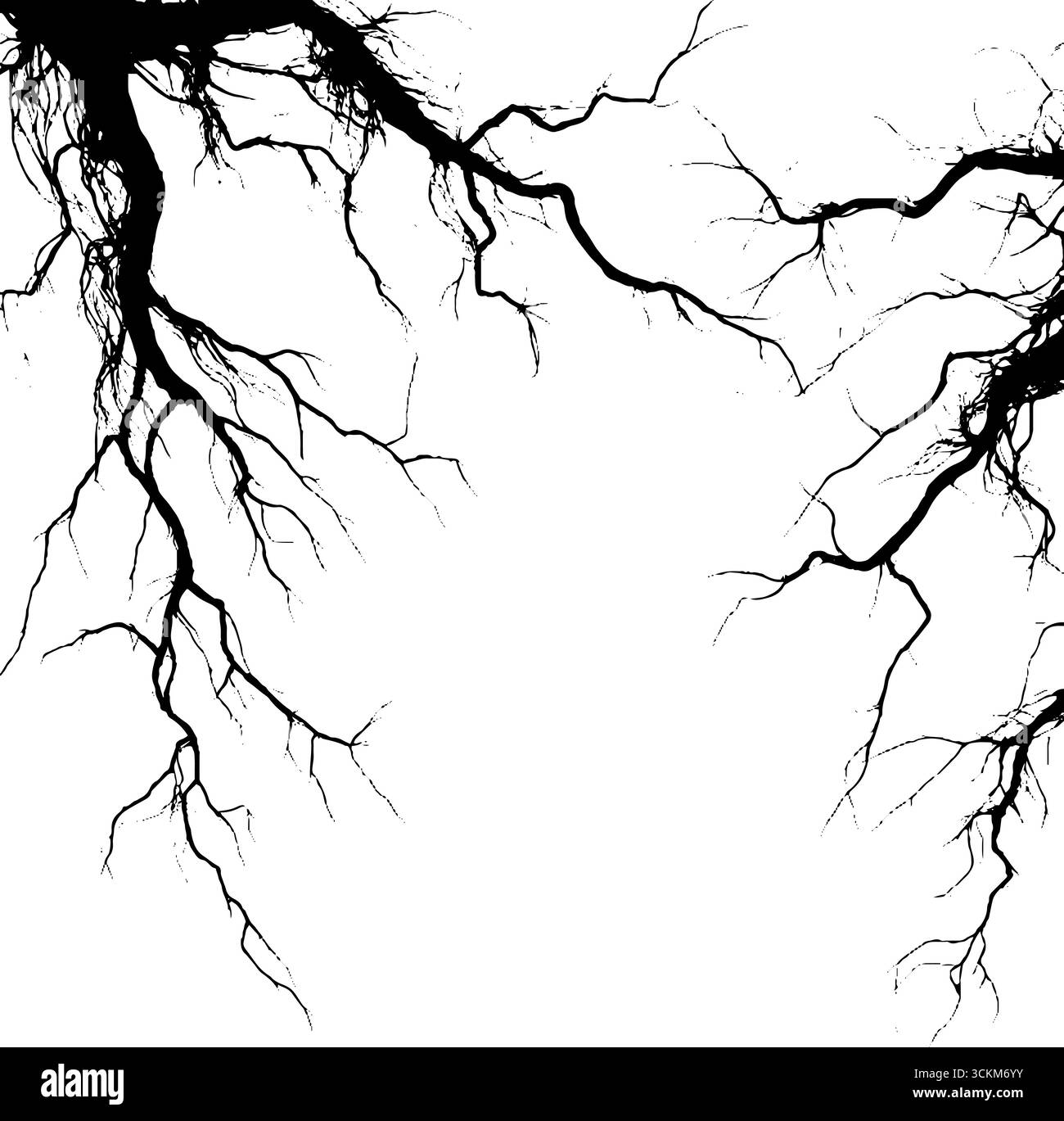 Branching background Black and White Stock Photos & Images - Alamy