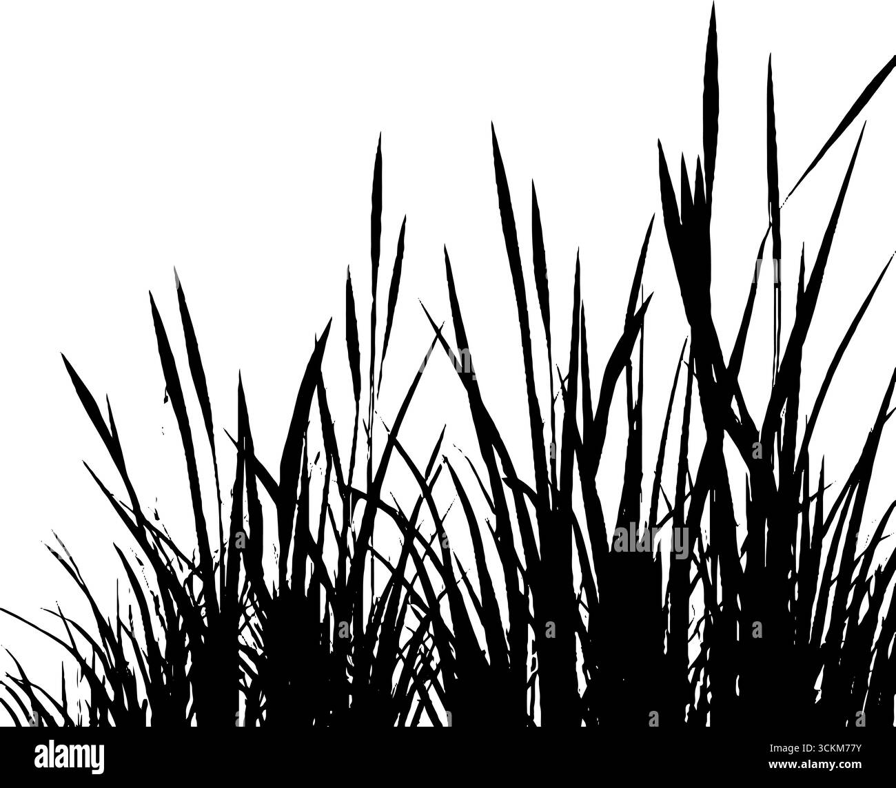 Abstract black grass blades border design for creative backgrounds ...