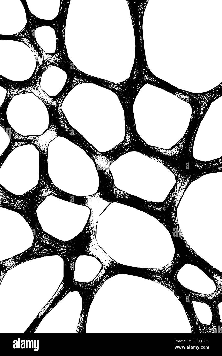 Abstract black and white pattern of cell membrane networks perfect for ...
