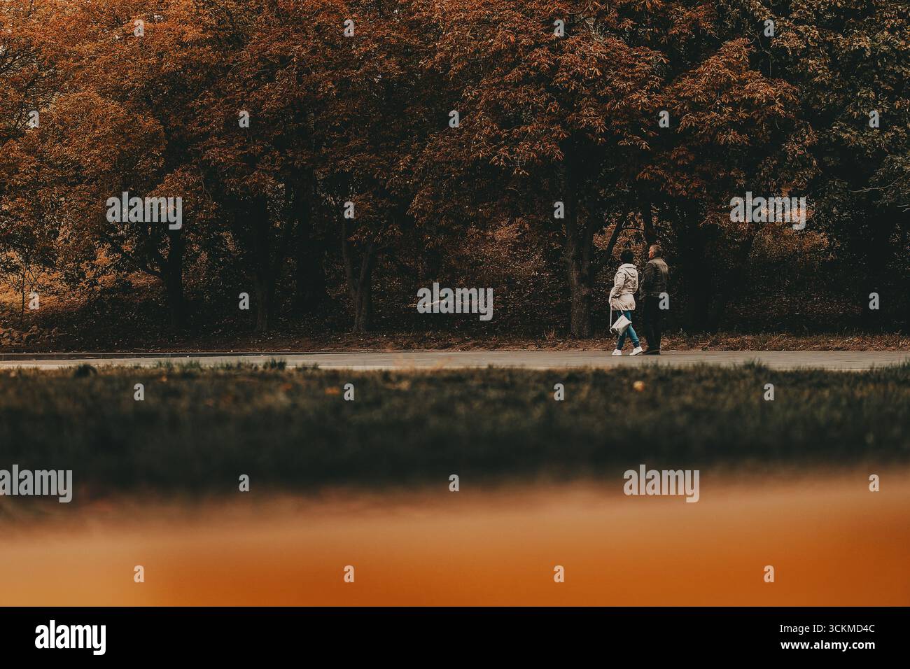 Couple strolling in autumn park. Two people walk along a path with a ...