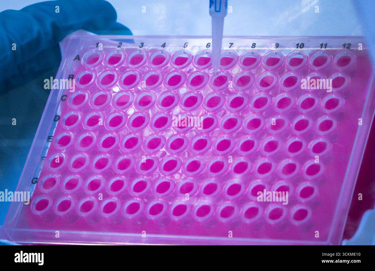 Laboratory tests viruses bacteria hi-res stock photography and images ...