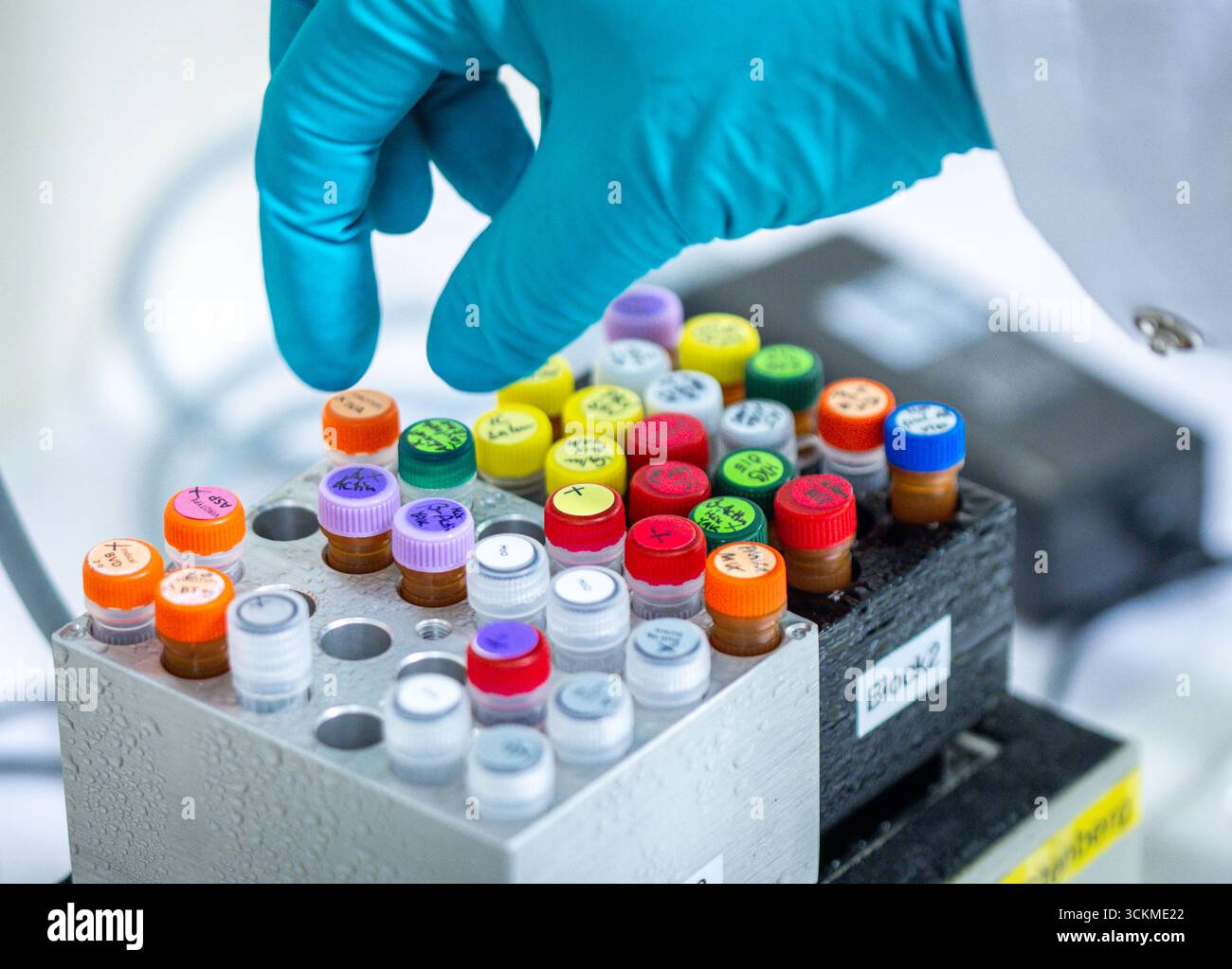 Rostock, Germany. 05th Sep, 2025. Various substances are placed on ...