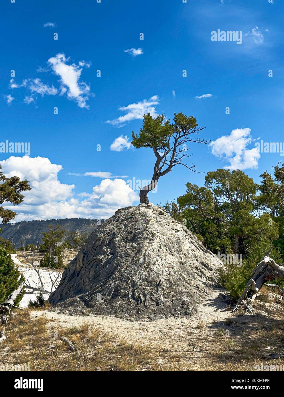 Yellowstone National Park shows landscape view with blue sky & clouds ...