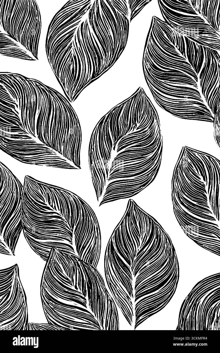 Bean shaped leaves Stock Vector Images - Alamy