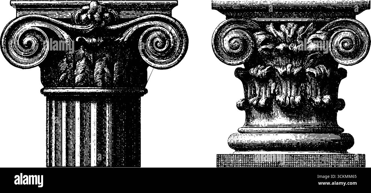 Engraved illustration set of classical roman columns for architectural design Stock Vector Image ...