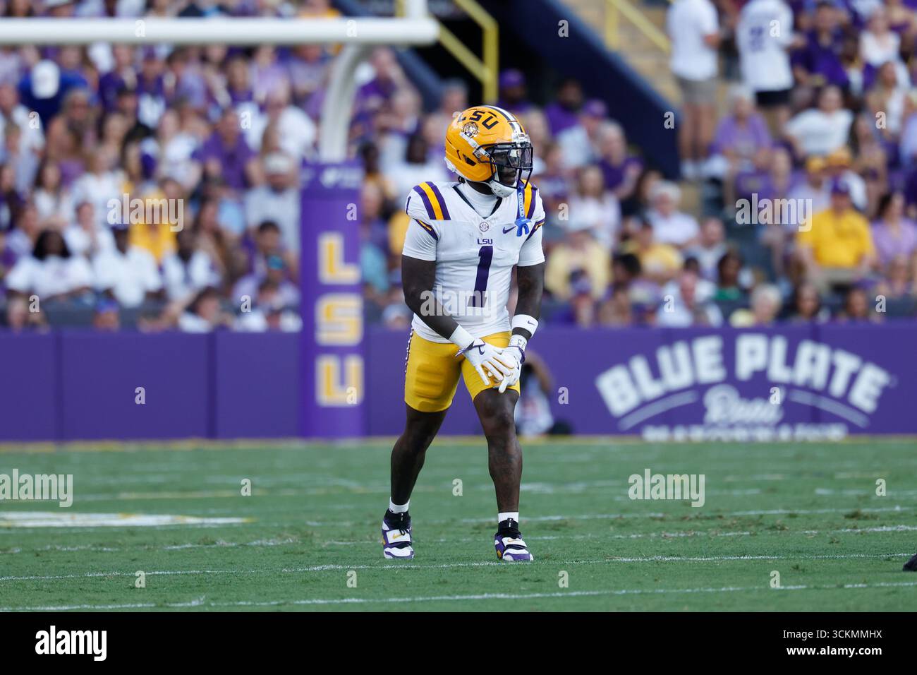 LSU wide receiver Aaron Anderson (1) lines up for the snap during an ...