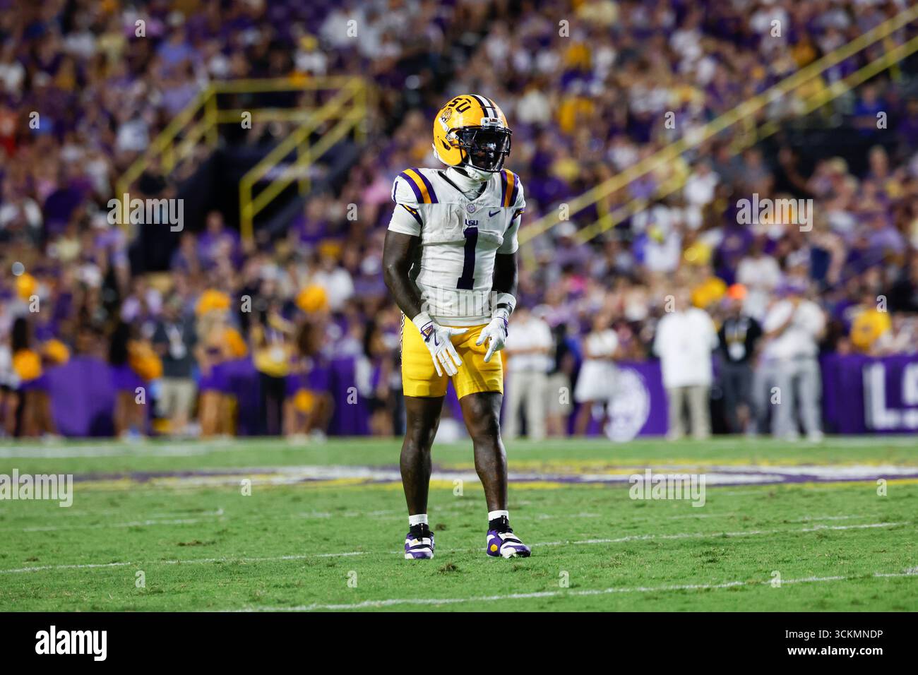 LSU wide receiver Aaron Anderson (1) lines up for the snap during an ...