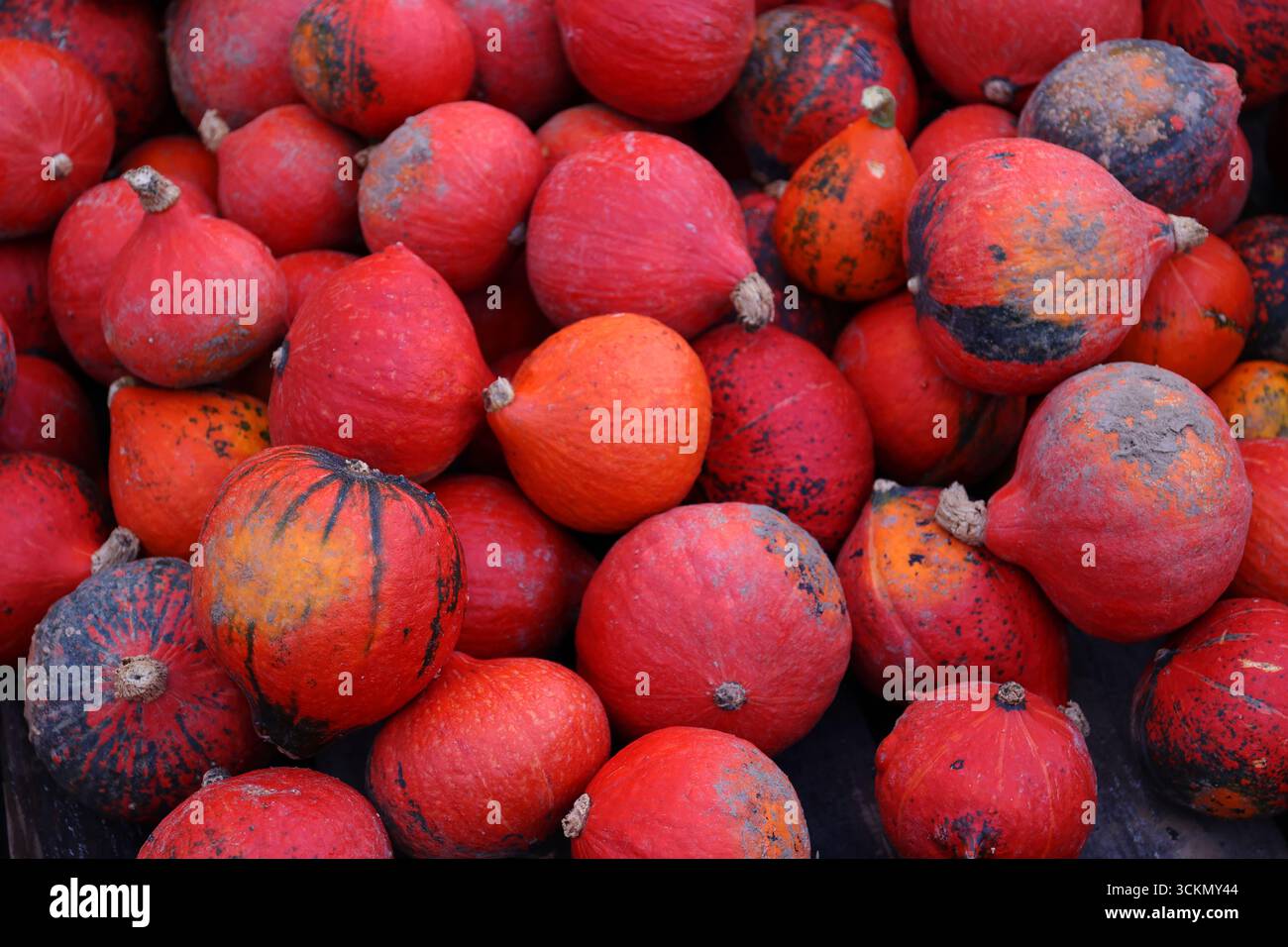 Farmingproduce hi-res stock photography and images - Alamy