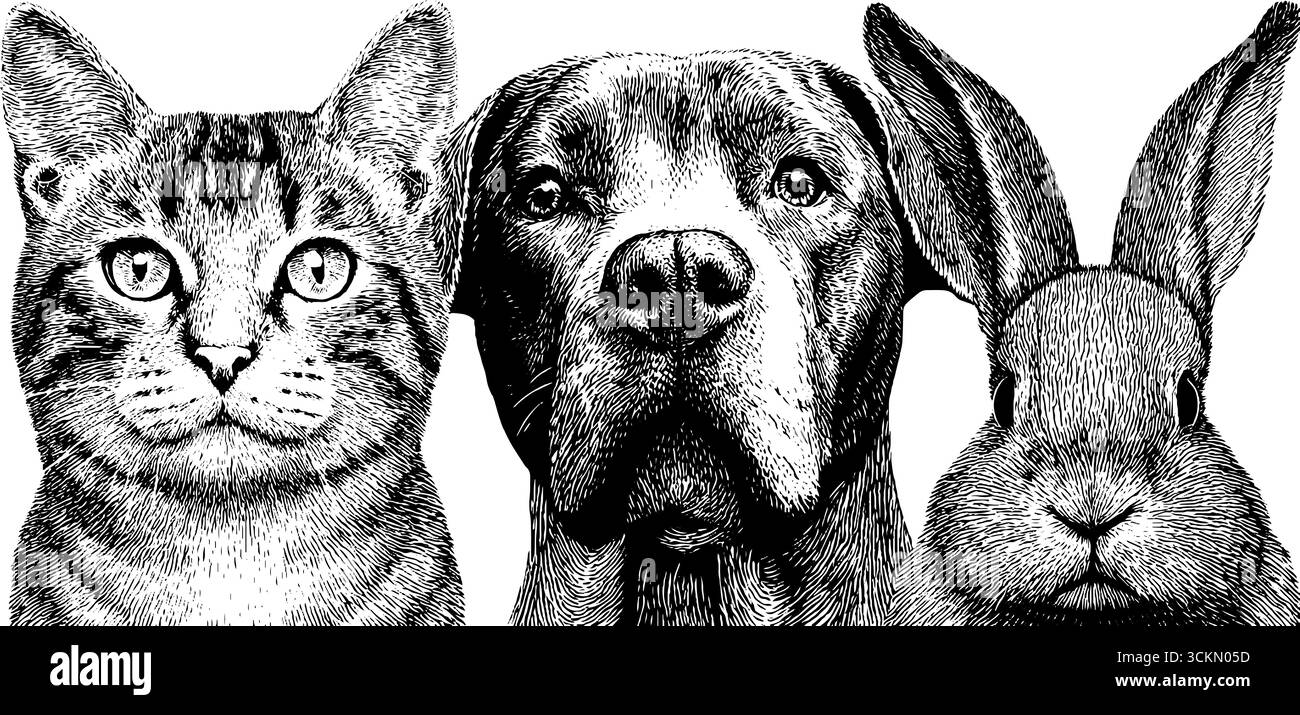 Dog portraits personality Stock Vector Images - Alamy