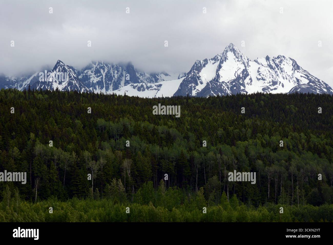 Cedarvale british columbia hi-res stock photography and images - Alamy