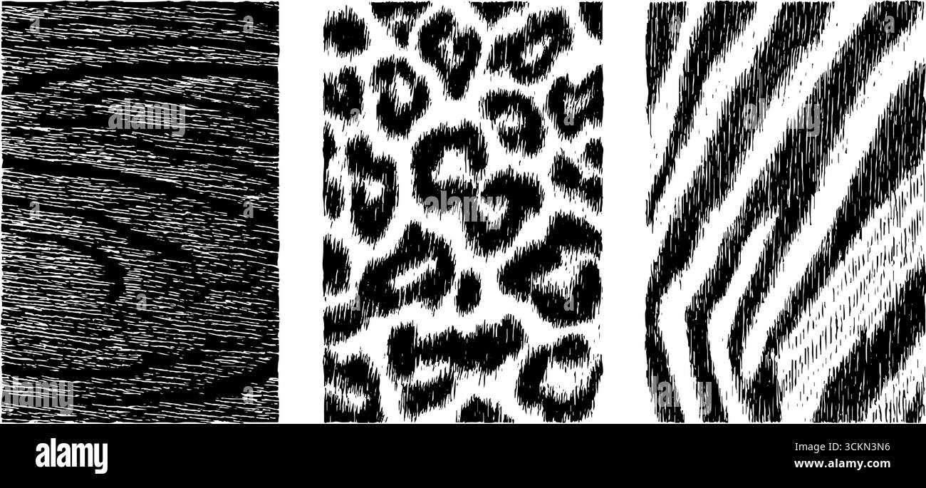 Engraved animal fur textures for design and craft projects Stock Vector ...