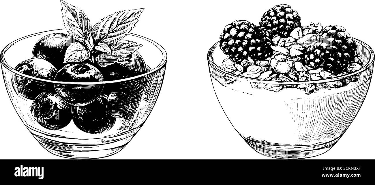 Elegant engraved illustration of fruit parfait cups for culinary art ...