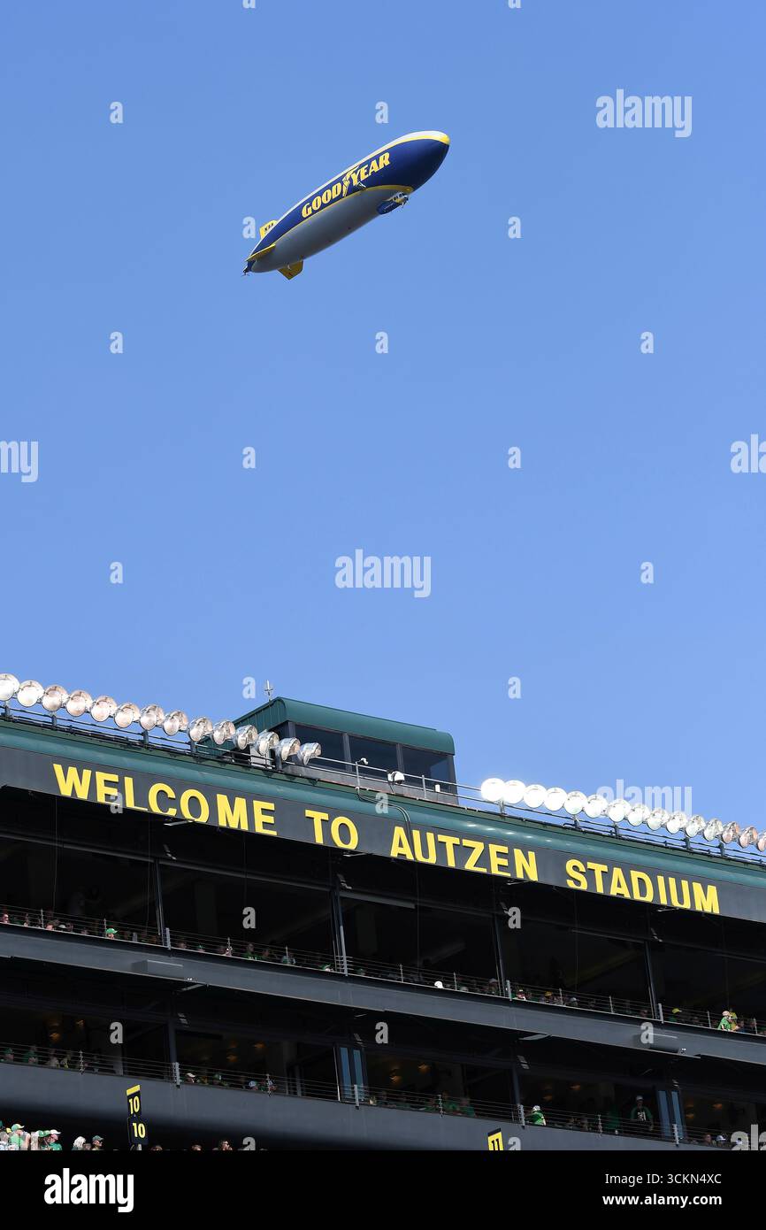 EUGENE, OR - SEPTEMBER 06: The Goodyear Blimp flies above Autzen ...