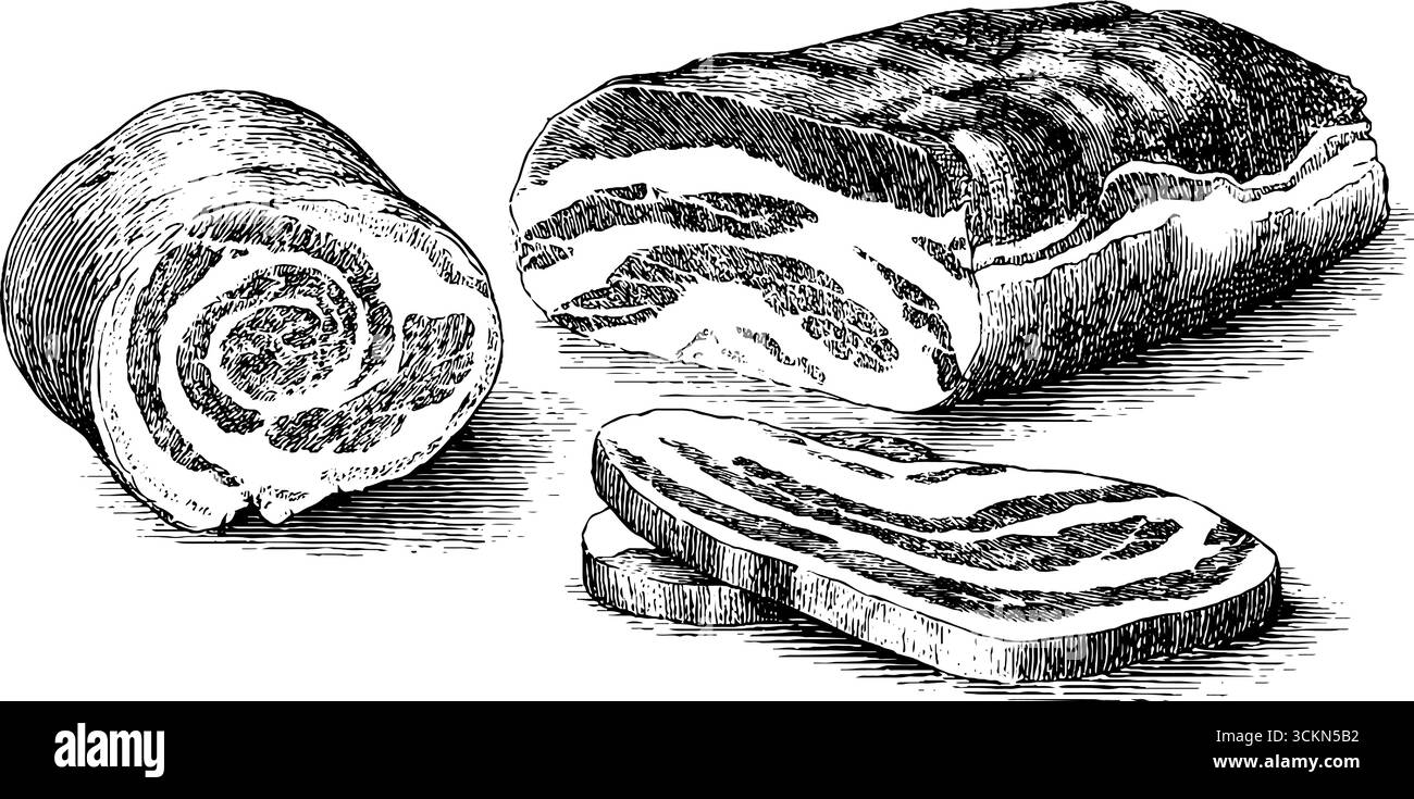 Engraved illustration of pancetta varieties for culinary design and ...
