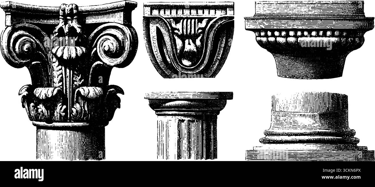 Engraved illustration set of classical architectural capitals and columns Stock Vector Image ...