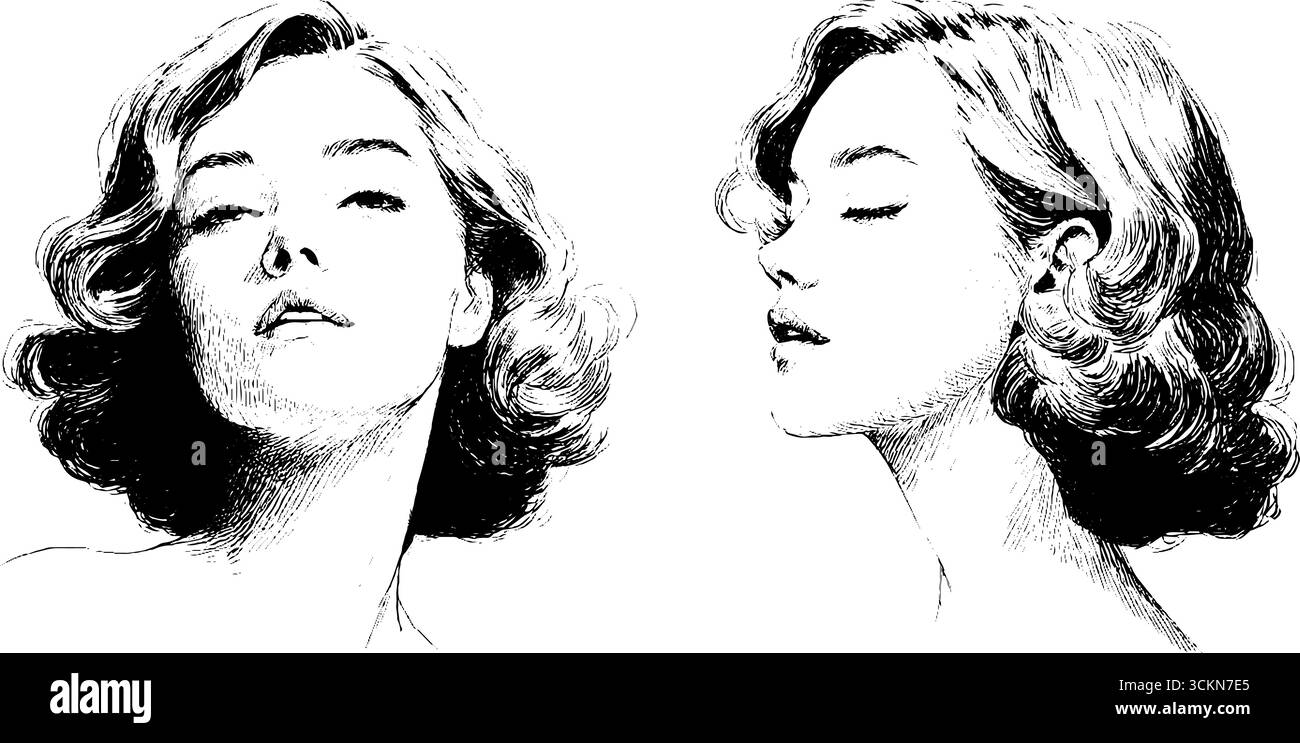 Vintage engraved portrait illustration of curved neck poses Stock ...