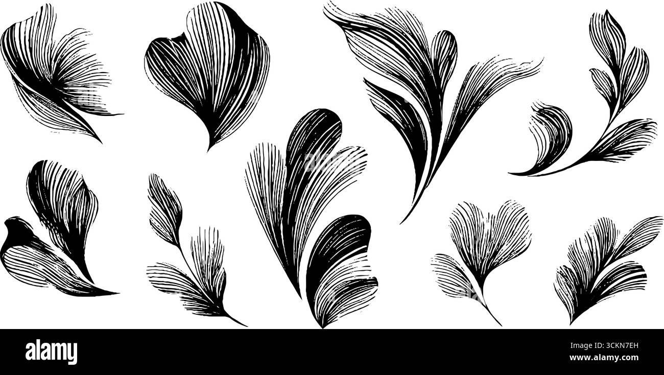 Elegant curvilinear petals design for artistic and botanical projects ...