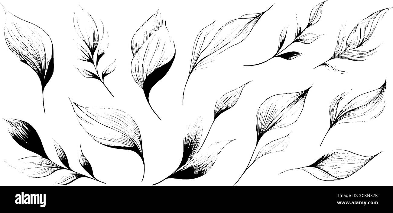 Elegant curved floral motifs collection for decorative design and art ...