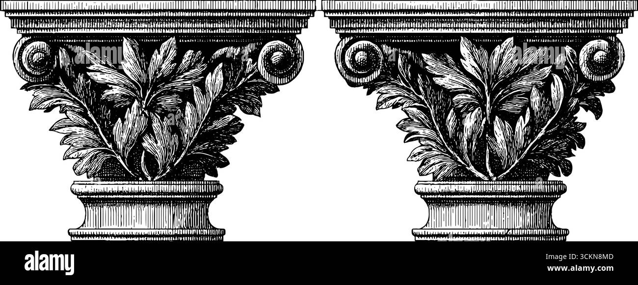 Engraved classical column capitals with intricate leaf designs for ...