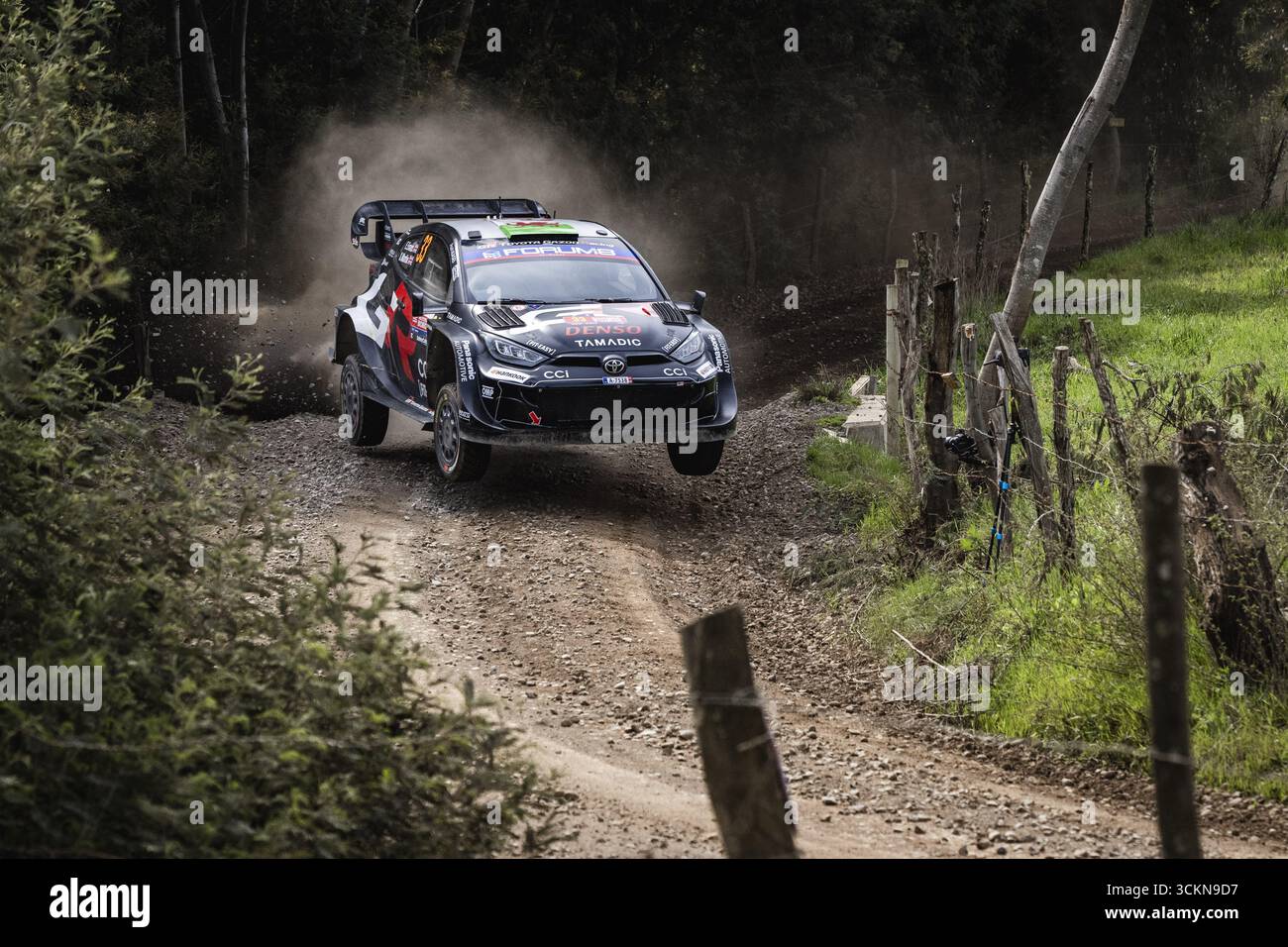 33 Elfyn EVANS, Scott MARTIN, Toyota GR Yaris Rally1, action during the ...