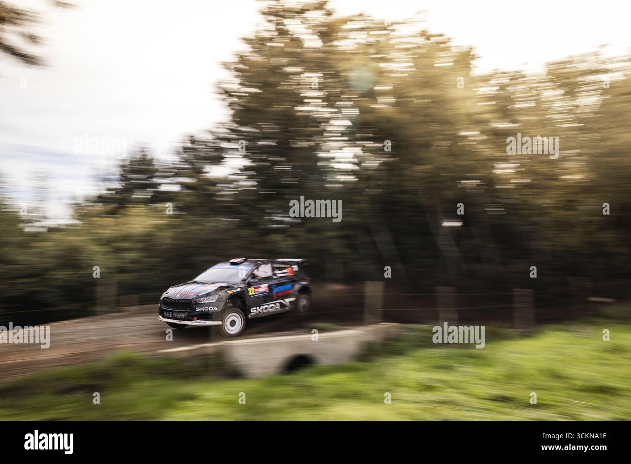 22 Gus GREENSMITH, Jonas ANDERSSON, Skoda Fabia RS Rally2, action ...