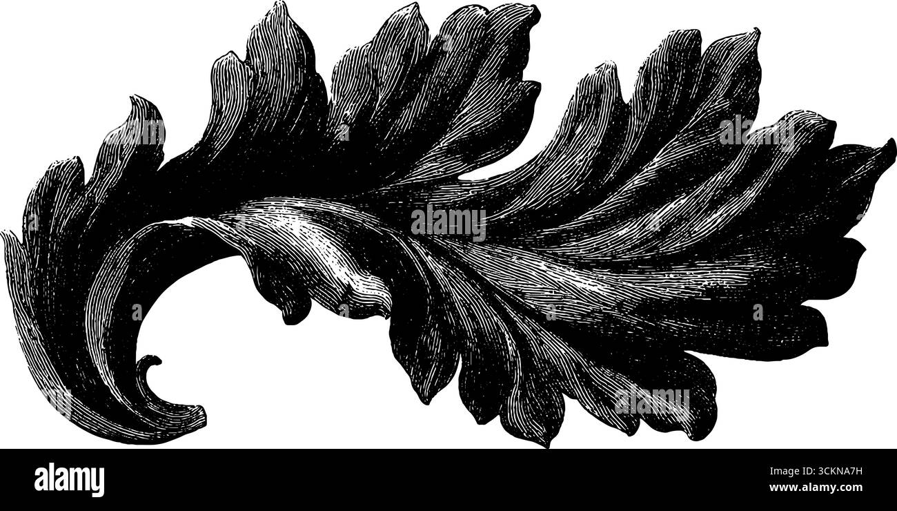 Ornate engraved acanthus leaf motif for decorative design and art ...