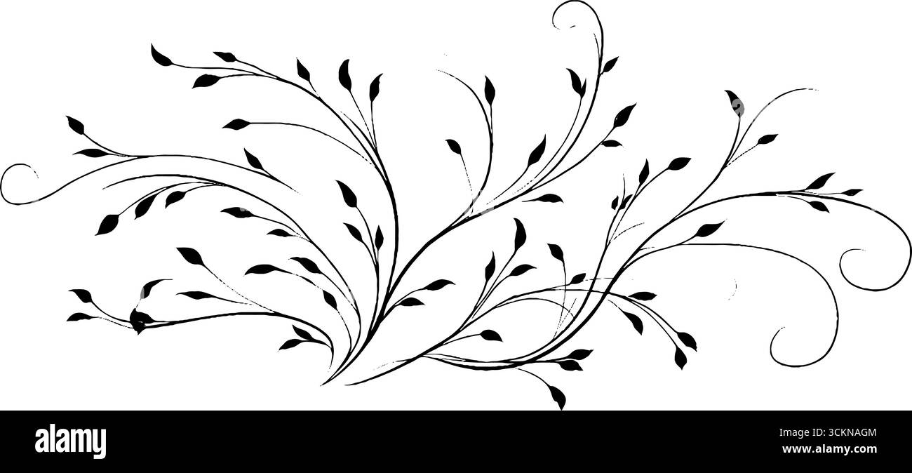 Elegant curved tendrils with delicate leaf motifs in engraved style for ...