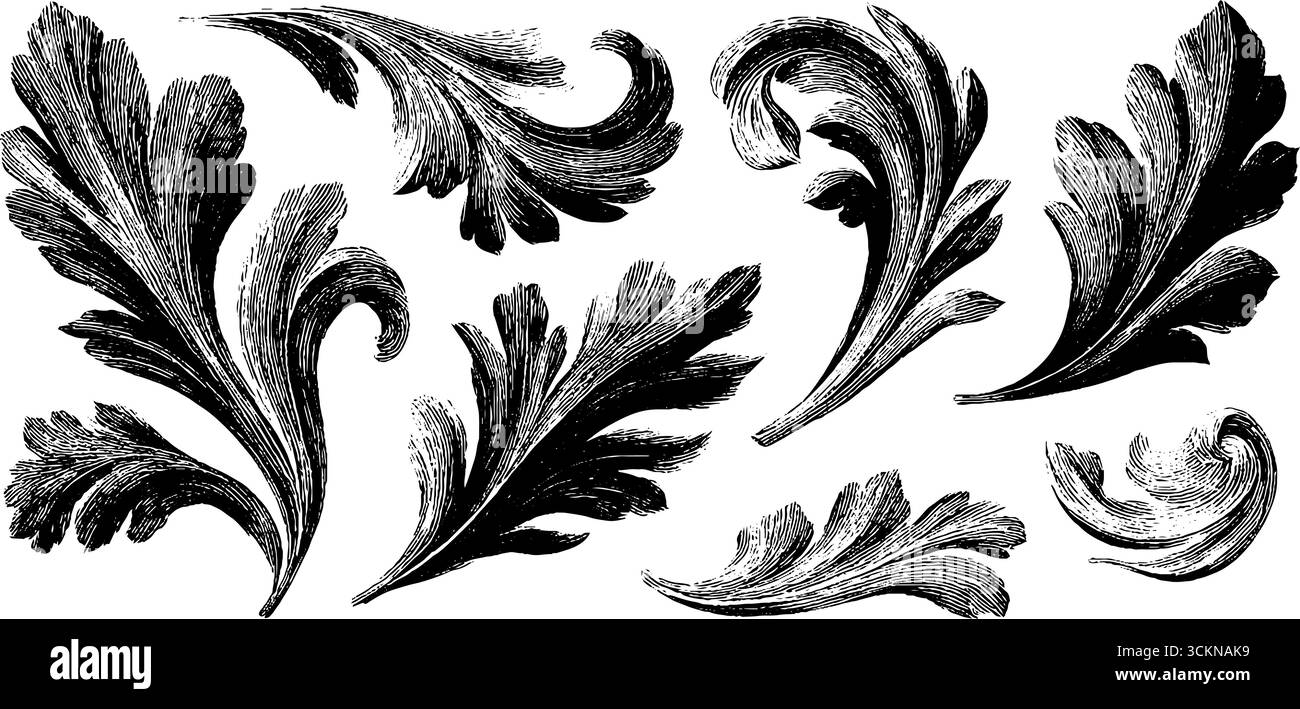 Symmetrical floral shapes Cut Out Stock Images & Pictures - Alamy