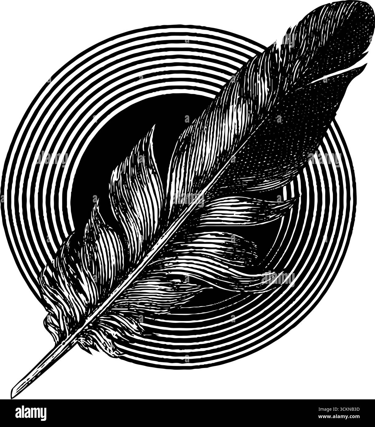 Striking circular design Black and White Stock Photos & Images - Alamy