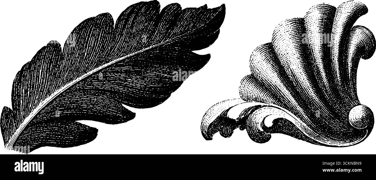 Artistic collection of engraved stylized feather and leaf motifs for ...