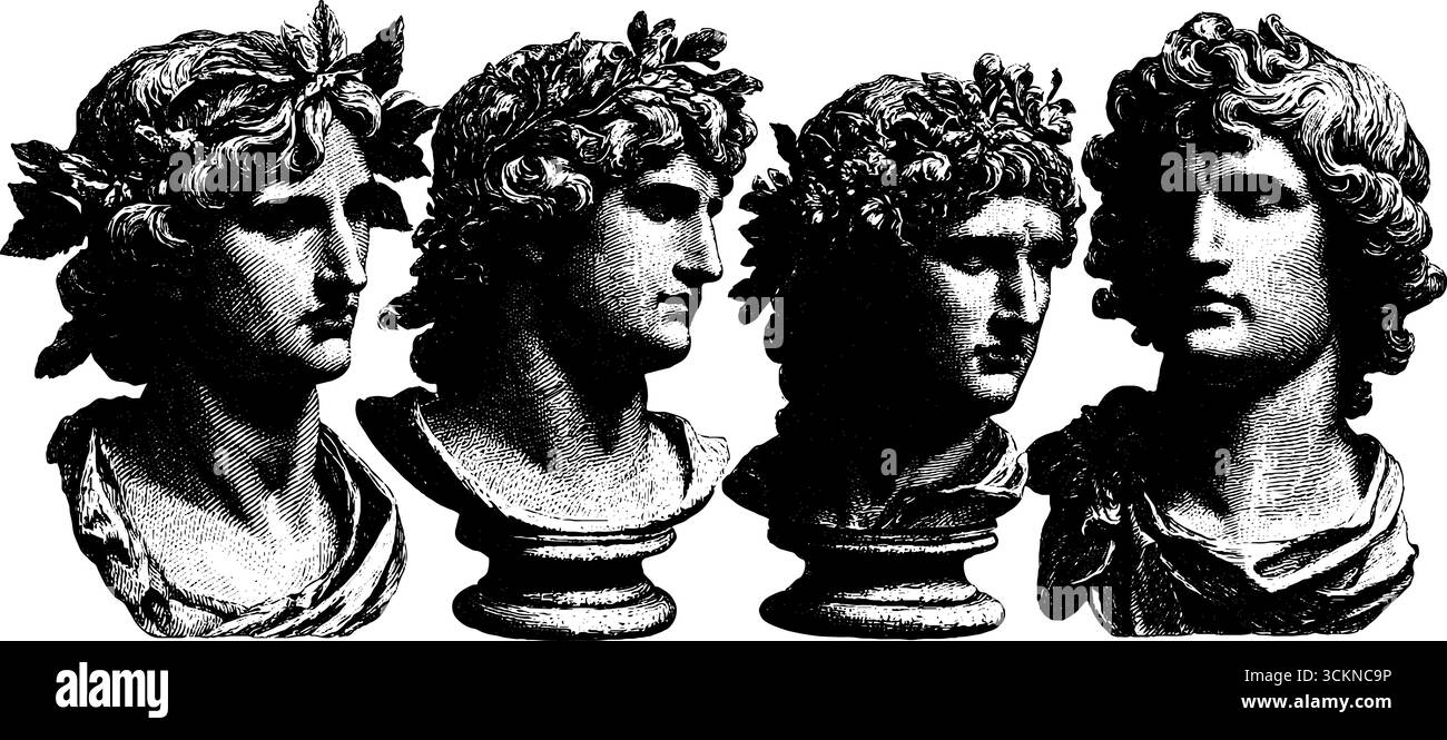 Classic engraved busts with curly hair for artistic display and design ...