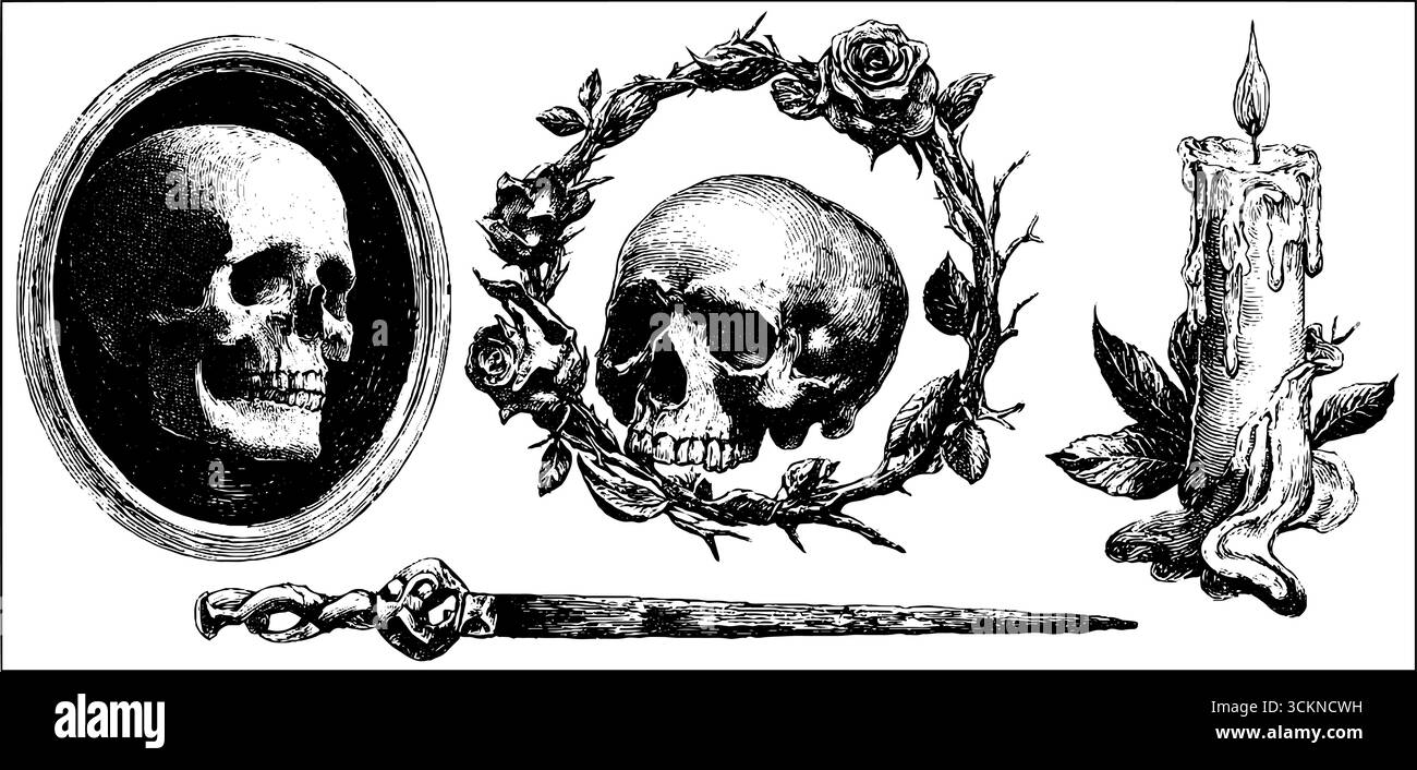 Reflective skull art Stock Vector Images - Alamy