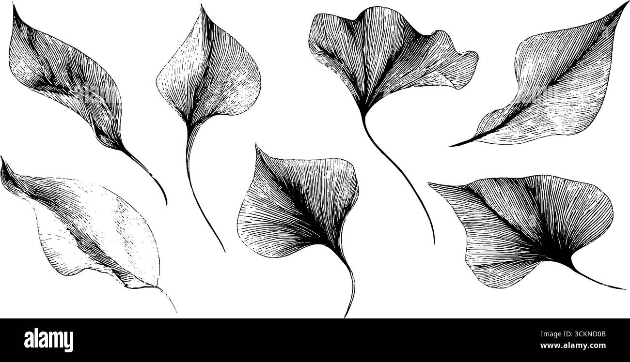 Tendril designs hi-res stock photography and images - Alamy