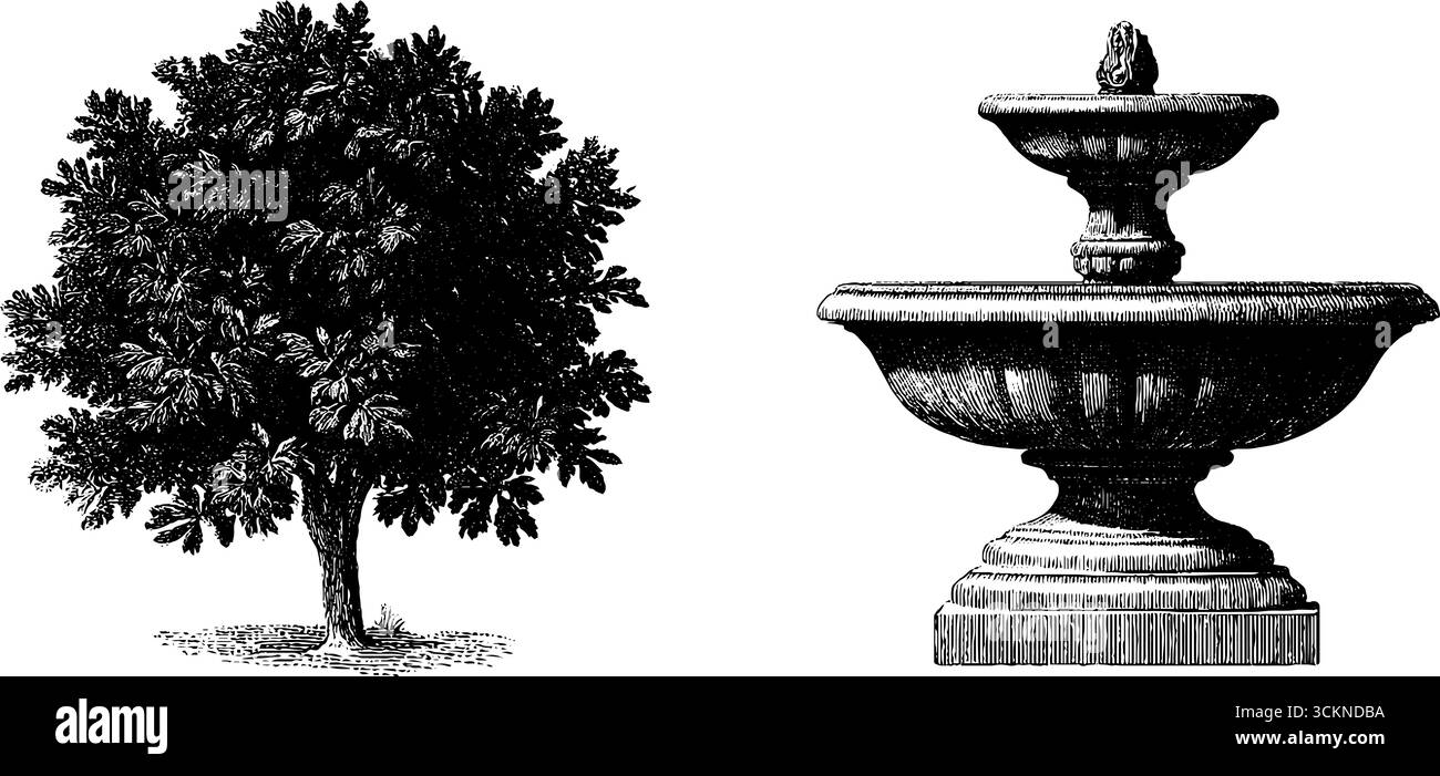 Colonial revival garden Stock Vector Images - Alamy