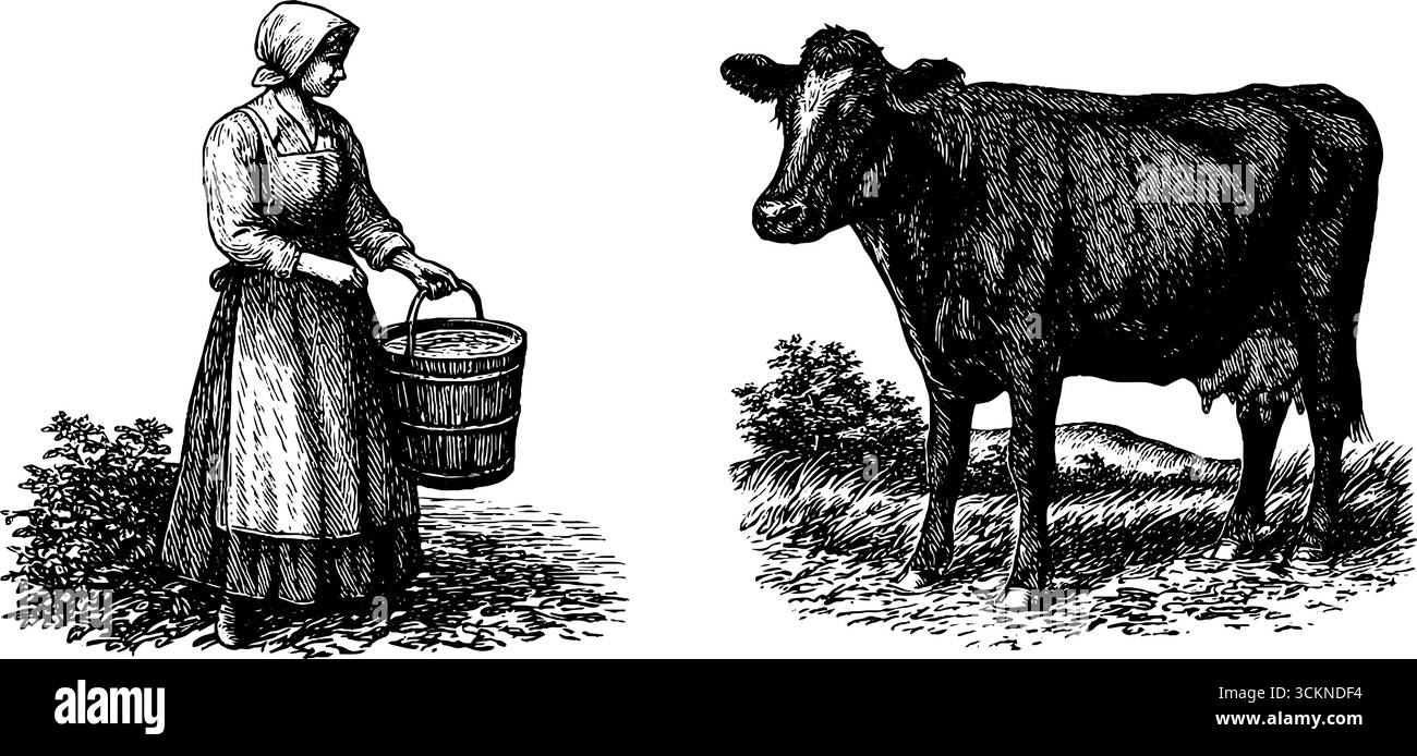 Vintage engraving of milkmaid with cow depicting traditional farming ...