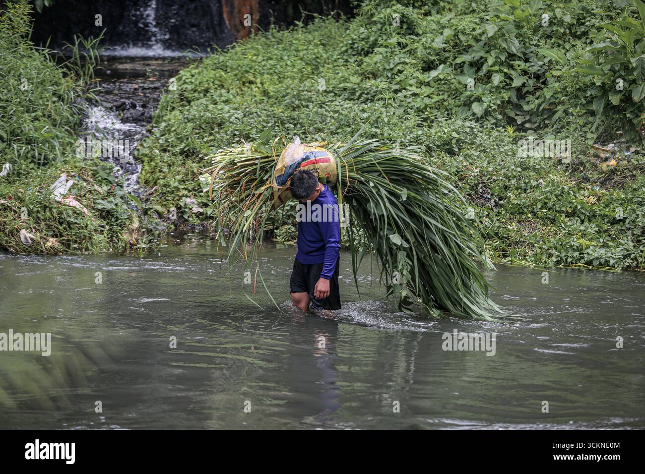 Batangas, Calabarzon region, Philippines. Sept 13, 2025. Daily life ...
