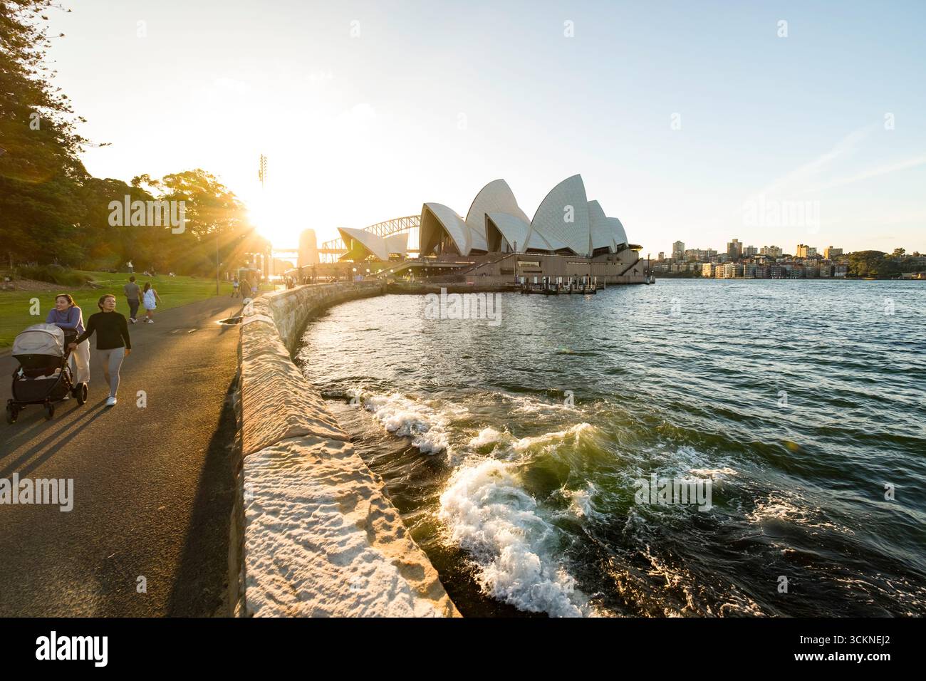 A vibrant waterfront scene featuring Sydney's famous Opera House ...