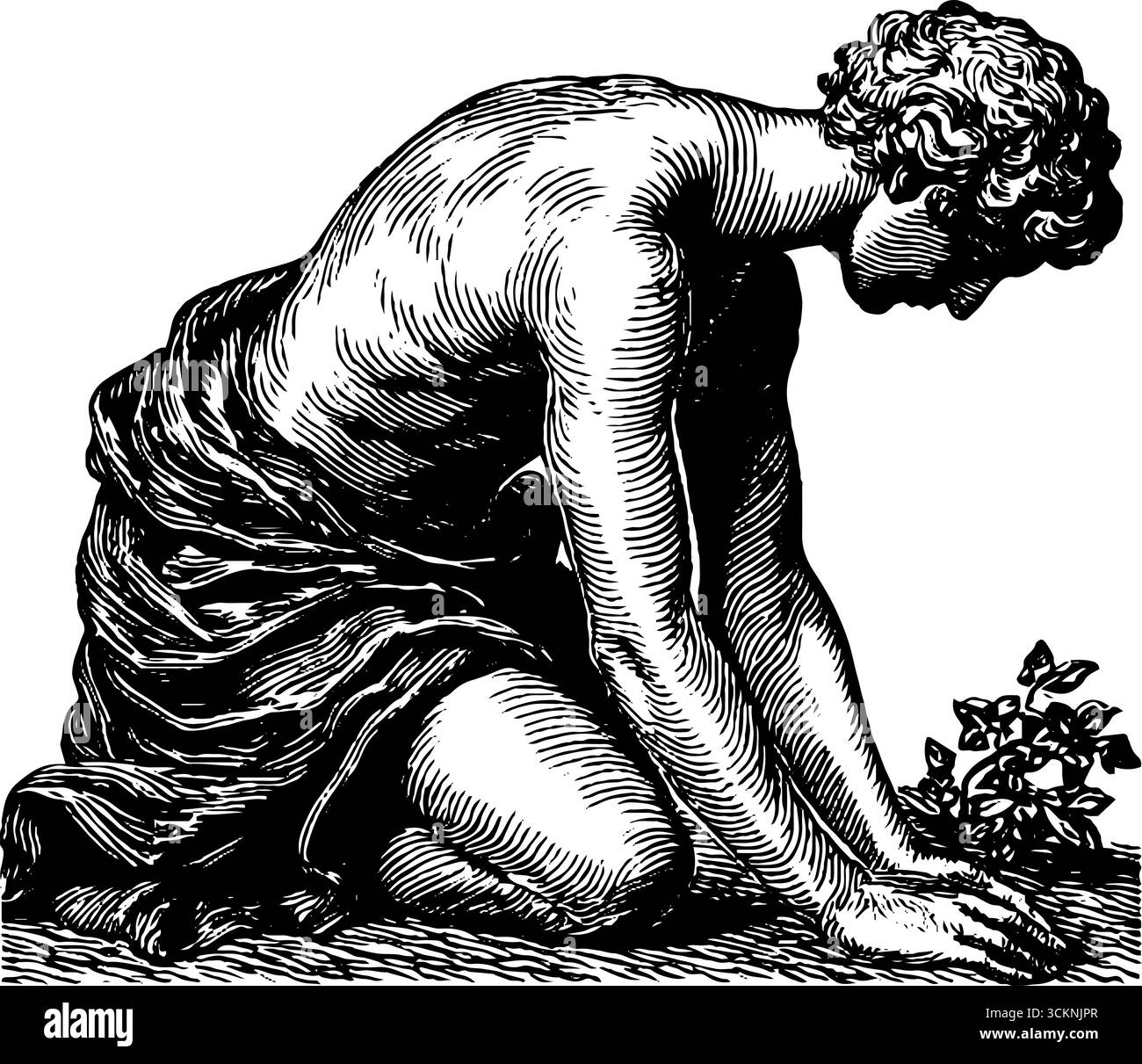 Dying gaul statue Stock Vector Images - Alamy