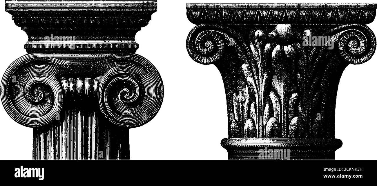 Engraved classical ionic column illustration set for historical art and ...
