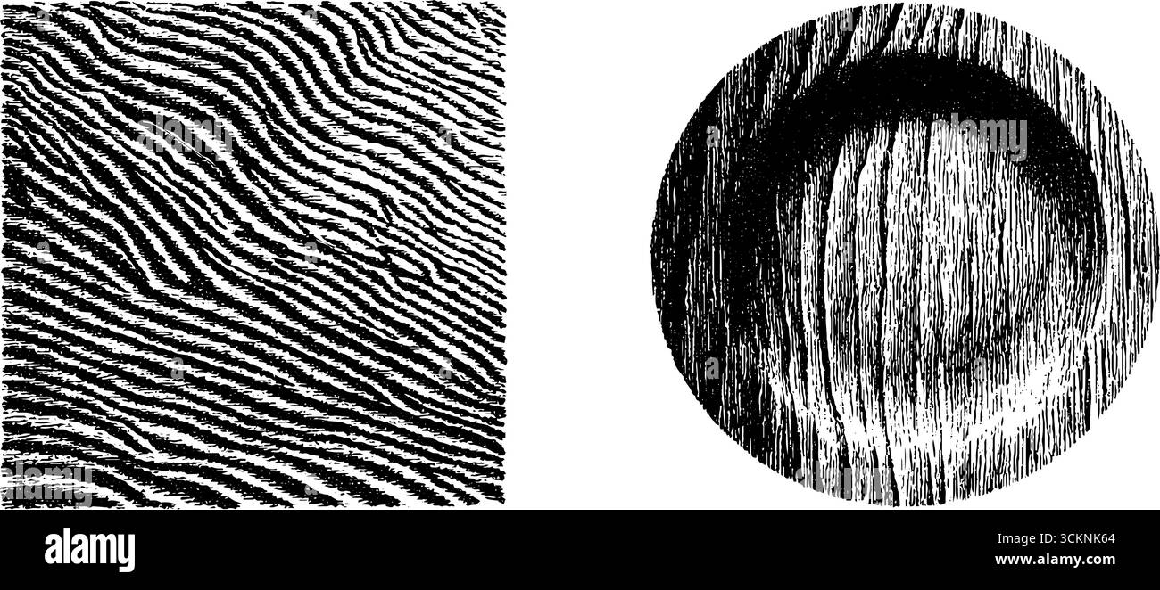 Engraved illustration set of textured patterns featuring stained ...