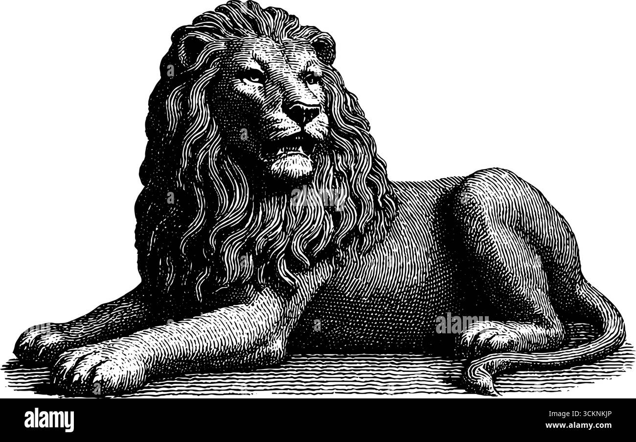 Engraved illustration of seated lion statue in classic style Stock ...