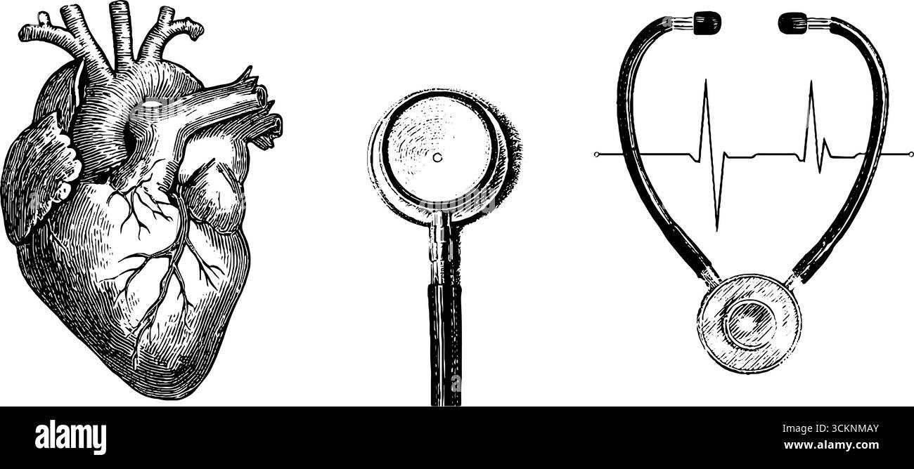 Vintage medical illustration set featuring human heart and stethoscope ...